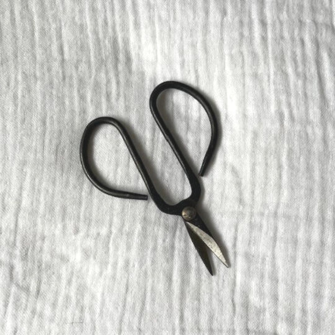 Mini house plant and bonsai pruning shears – Into The Gift Box